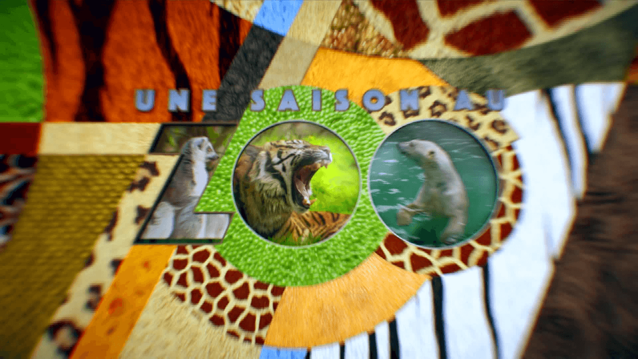 "Une saison au zoo" de retour à La Flèche